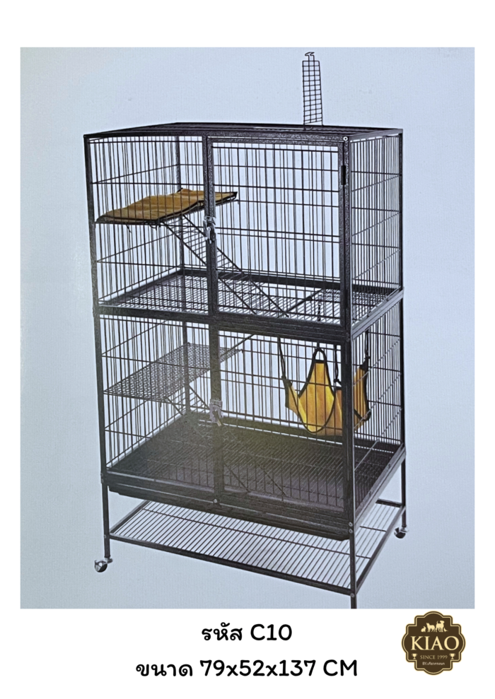 แมว Archives - KIAO PET SHOP